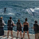 7 Days Round Tour in Private Car/Van with Chauffer - Transportation & Logistics