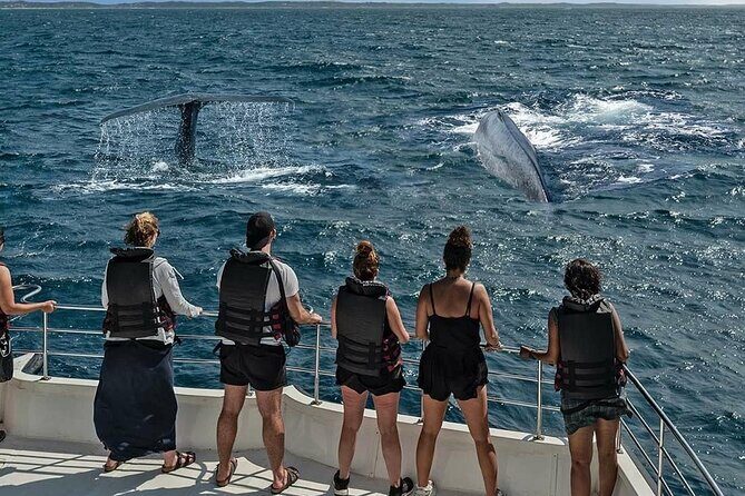 7 Days Round Tour in Private Car/Van with Chauffer - Transportation & Logistics