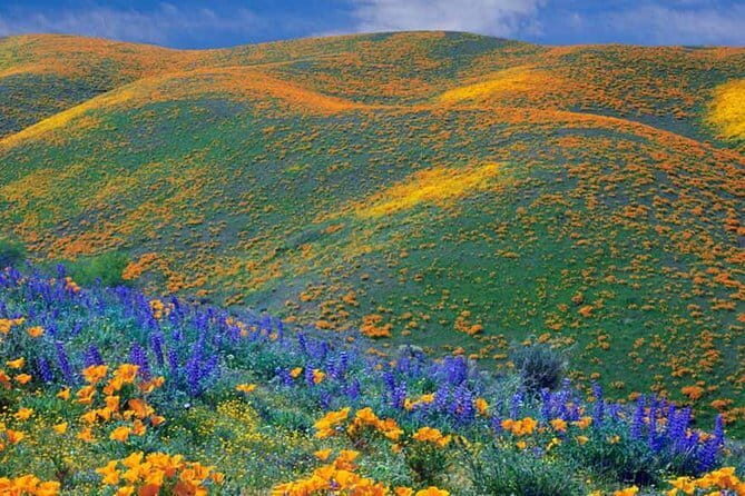 7 Days Safari - Who Is This Tour Best For?