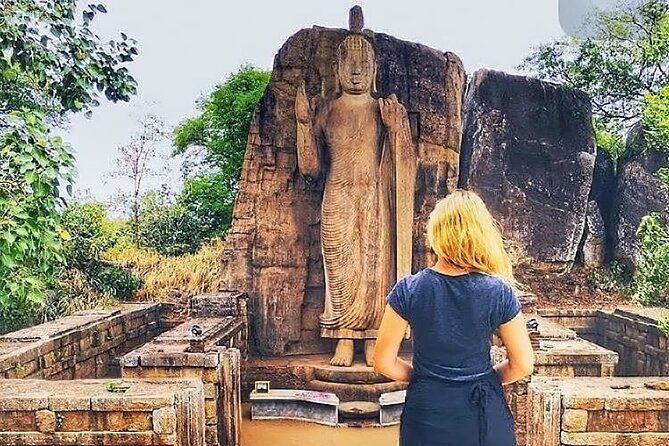 7 Days Sri Lanka Tour package with Private Driver - Transportation and Value