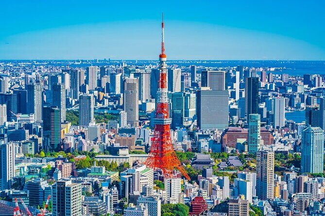 7 Hour Private Tour of Tokyo - Summing It Up: Who Will Love This Tour?