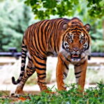 8 Day Delhi Agra Ranthambore Udaipur Jaipur Delhi Tour - Day 4: Drive to Udaipur