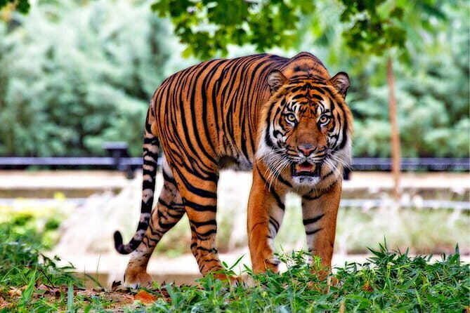 8 Day Delhi Agra Ranthambore Udaipur Jaipur Delhi Tour - Day 4: Drive to Udaipur