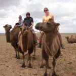 8 Day Great Gobi and Central Mongolia - Who Will Love This Tour?
