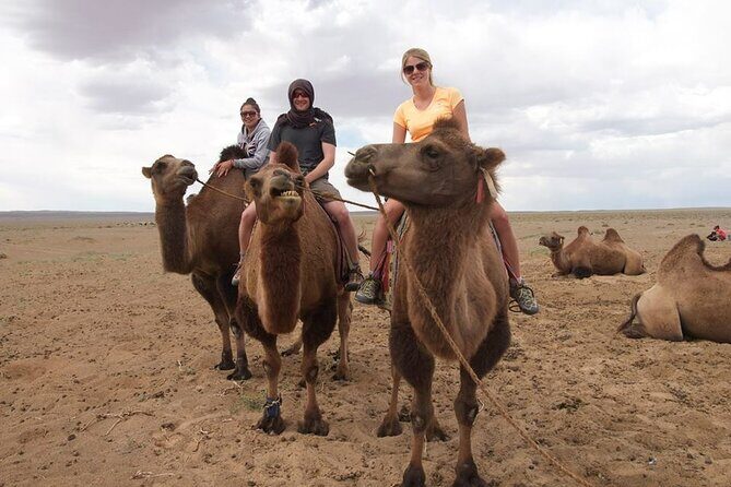 8 Day Great Gobi and Central Mongolia - Who Will Love This Tour?