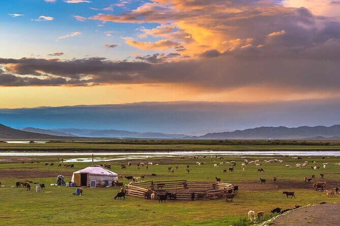 8 Day Private Tour to Ancient Capital of the Great Mongol Empire - What Makes This Tour Stand Out?