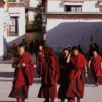 8 Day Tibet Classic Tour - What’s the Value Here?