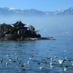 8 Days Classic Tour of Yunnan - The Value and Experience