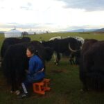 8 Days Gobi And Waterfall Tour - Key Points