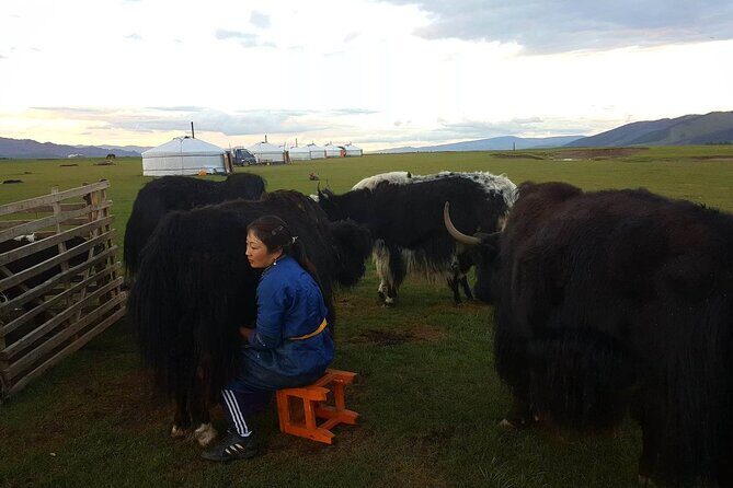 8 Days Gobi And Waterfall Tour - Key Points