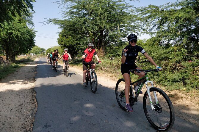 8-Days Golden Triangle on Bicycle - Premium Private Tour - How the Reviews Reflect the Experience