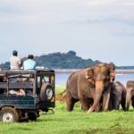 8 Days Guided Cultural Small Group Tour of Sri Lanka - The Sum Up