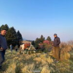 8 Days Poon Hill with Mardi Himal Base Camp Trek - Transport, Permits, and Practicalities