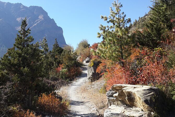 8 Days Short Trek and Tour in Nepal - Who Will Love This Tour?