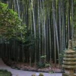 8-hour Kamakura tour by qualified guide using public transportation - Practical Details and What to Expect