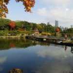 8-hour Tokyo tour by qualified tour guide using public transport - Authentic Insights from Reviews