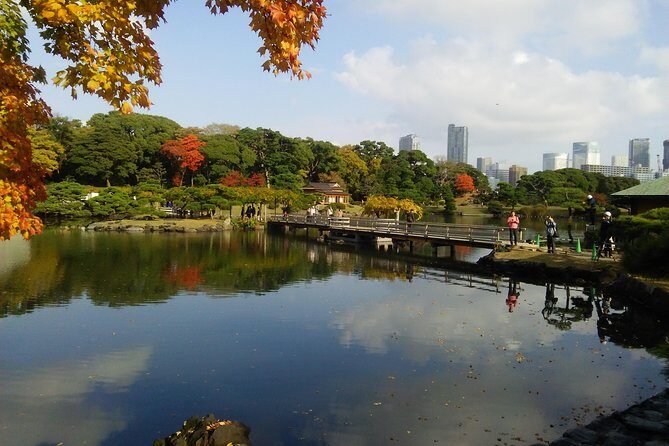 8-hour Tokyo tour by qualified tour guide using public transport - Authentic Insights from Reviews