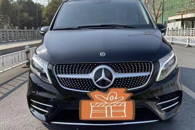 8 hours Private Car Transport in Wuhan China - Who Will Benefit Most From This Tour?