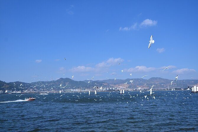 9-Day Tour: Explore Yunnan - A Closer Look at the Itinerary