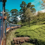 9 Days Guided Tour Through Sri Lanka - Why This Tour Offers Good Value