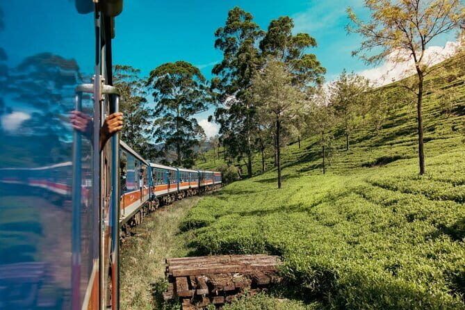 9 Days Guided Tour Through Sri Lanka - Why This Tour Offers Good Value