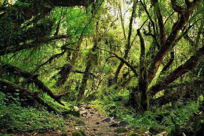 9 days Kids Friendly Lower Annapurna Royal Trek - Price, Value, and Overall Experience