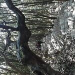 A day hike from Kathmandu to Bagadwaar - What We Loved and What to Consider