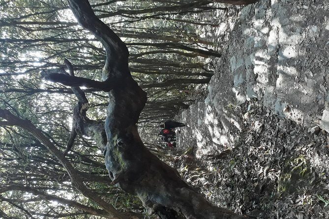 A day hike from Kathmandu to Bagadwaar - What We Loved and What to Consider