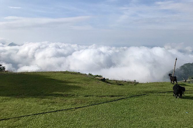 A Day Hike Long Bridge, Armala And Mauja - Key Points