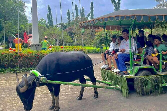 A Day in Paradise at Villa Escudero Coconut Plantation Adventure - What the Tour Really Means for You