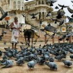 A Day Trip of Pushkar From Jaipur with Guide Service - Final Thoughts