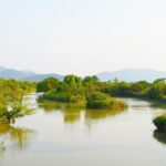 A Depth-Tour to Explore Xixi Wetland Park including Fishing experience - Detailed Breakdown of the Tour Experience