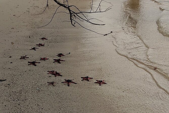 A Half Day Tour - Authentic Nature Tour - Practical Details: Transportation, Cost, and Comfort