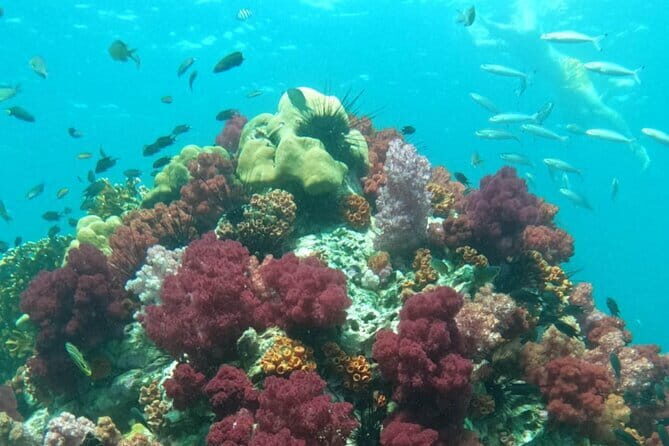 A Koh Lipe Snorkeling Tour - What’s Included and What’s Not