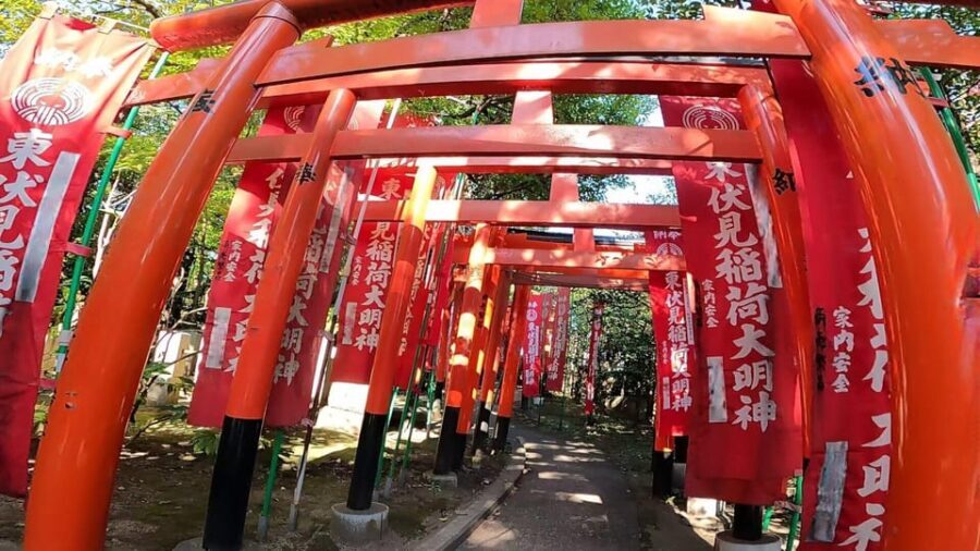 A private day in East Kyoto standard - The Value of a Guided Private Tour in Kyoto