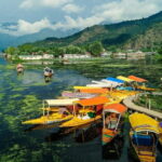 A Private Guided Walking Tour Of Old Srinagar With Lunch - Exploring Srinagar’s Historic Heart: A Step-by-Step Breakdown