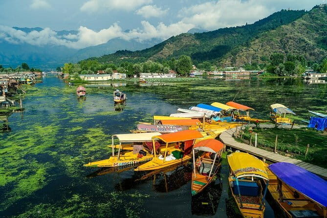 A Private Guided Walking Tour Of Old Srinagar With Lunch - Exploring Srinagar’s Historic Heart: A Step-by-Step Breakdown