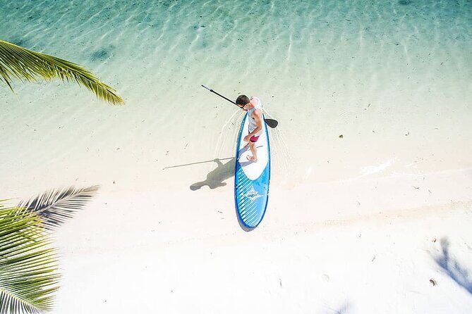 A Private Windsurfing Course at one of Mumbai's Beaches - What Travelers Say and What to Expect