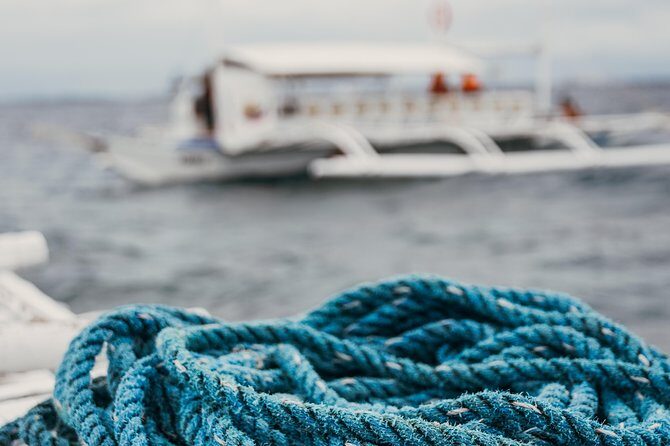 A snorkelling tour to Cebus Hilutungan - Why Choose This Tour?