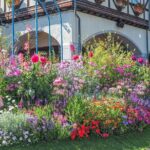 A Tour to Learn all about the international port city, Kobe! - Who Is This Tour Best For?