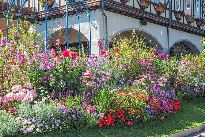 A Tour to Learn all about the international port city, Kobe! - Who Is This Tour Best For?