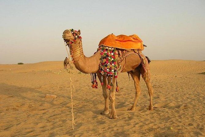 A Two Night Excursion To Jaisalmer From Jodhpur By Private Transfer - The Dunes and the Camel Ride