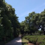 A Visit To Zen Buddhist Temple & A Taste Of Chinese Tea - What Travelers Say About This Tour