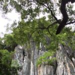 Abandoned Valley - Dark Cave exit, E Cave, Golden Cave- 2D1N - The Highlight: E Cave and its Turquoise Waters