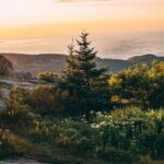 Acadia Cadillac Mountain Sunrise Half Day Private Tour & Hike - Transportation and Logistics