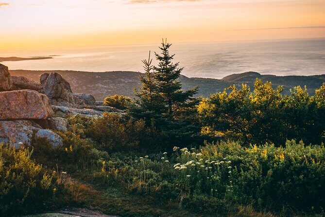 Acadia Cadillac Mountain Sunrise Half Day Private Tour & Hike - Transportation and Logistics