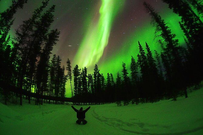 Active Winter Adventure in Yukon | 5 days - Analyzing the Value: Is It Worth It?