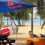 Activities on Offer - What You Can Expect During Your Visit