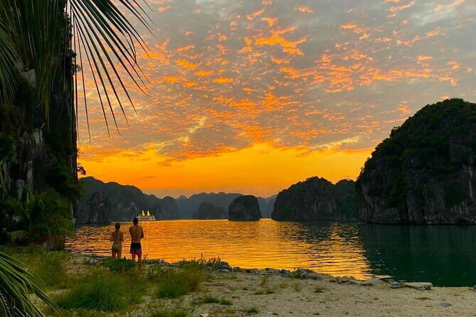 Admire Sunset & Plankton Bioluminescent Night Kayak in Lan Ha Bay - The Bioluminescent Water: Nature’s Light Show