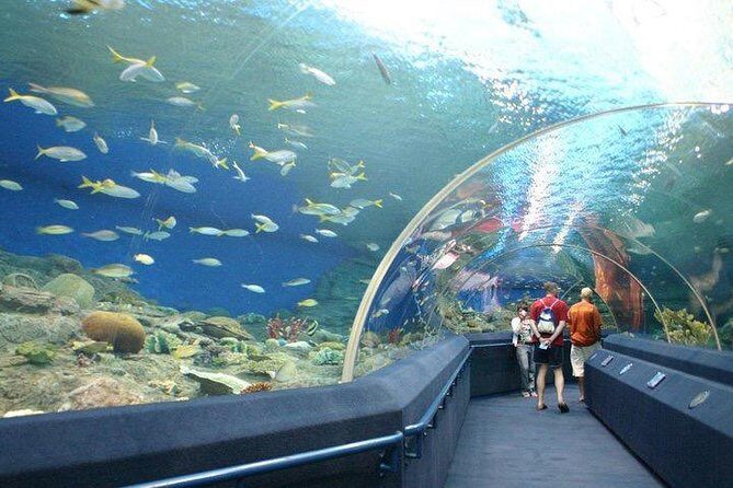 Admission Ticket to Underwater World Pattaya with Return Transfer - The Itinerary in Detail